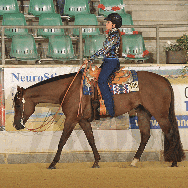 WESTERNREITEN - Westernreiter