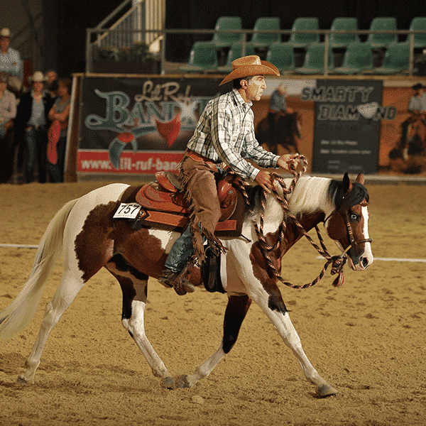 WESTERNREITEN - Westernreiter