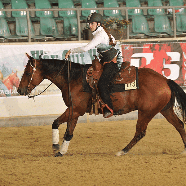 WESTERNREITEN - Westernreiter